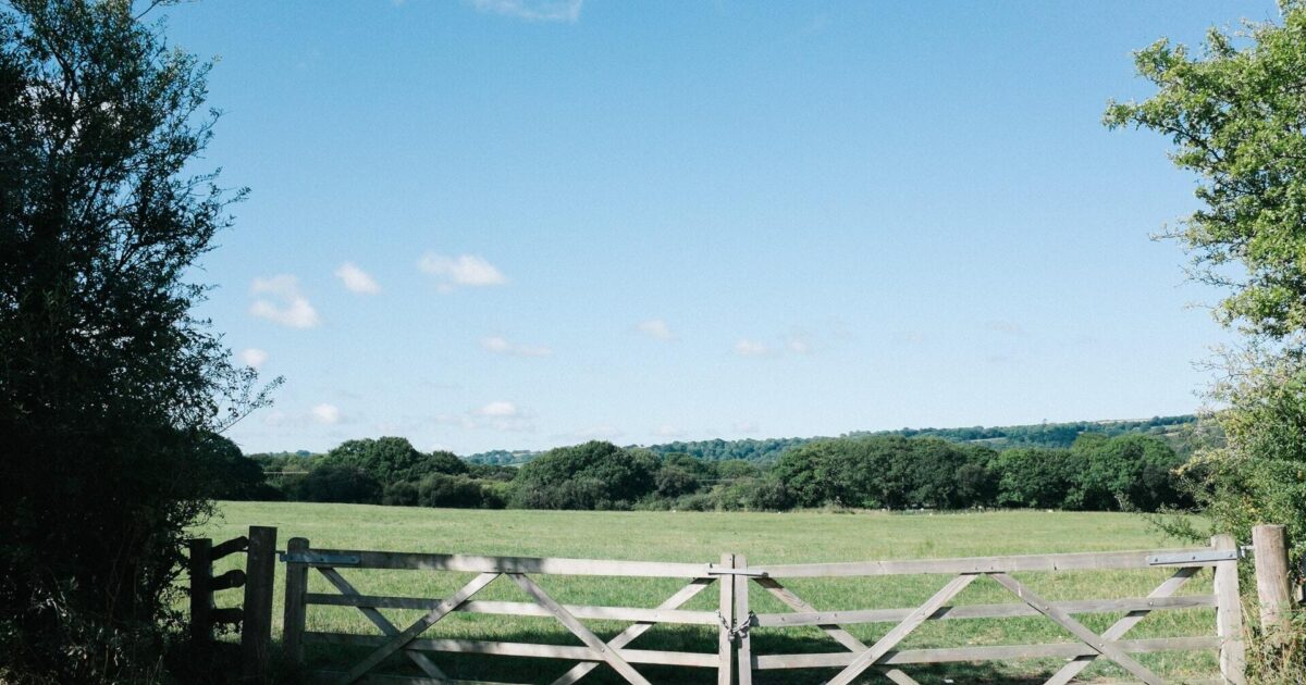 Can you find out if you have Welsh ancestry? | Living DNA