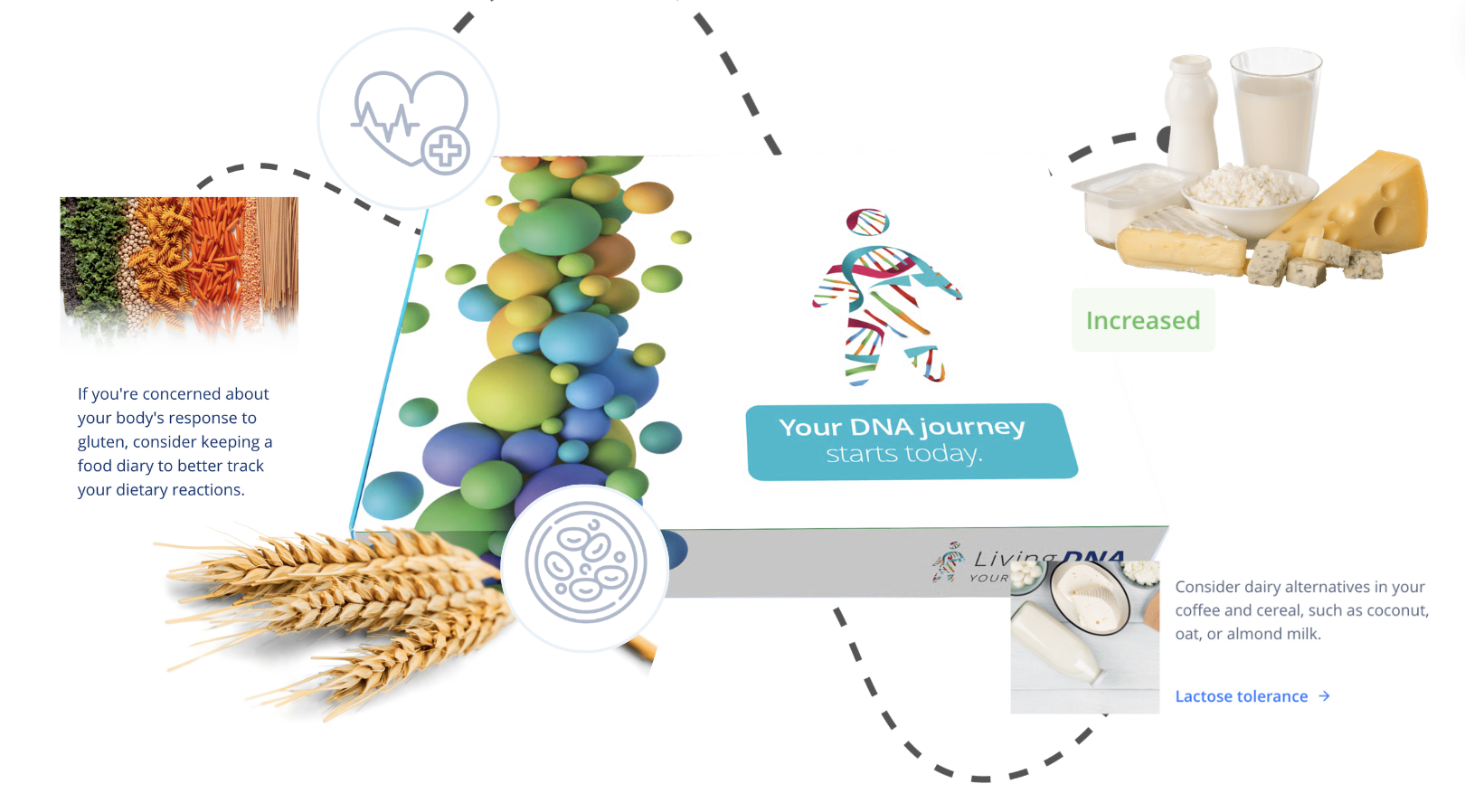 Living DNA | Health & Wellbeing DNA Testing Kits