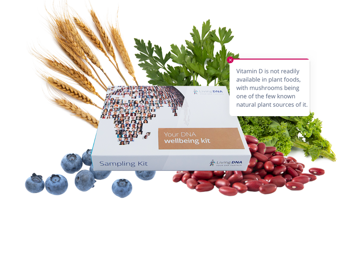 Living DNA | Health & Wellbeing DNA Testing Kits