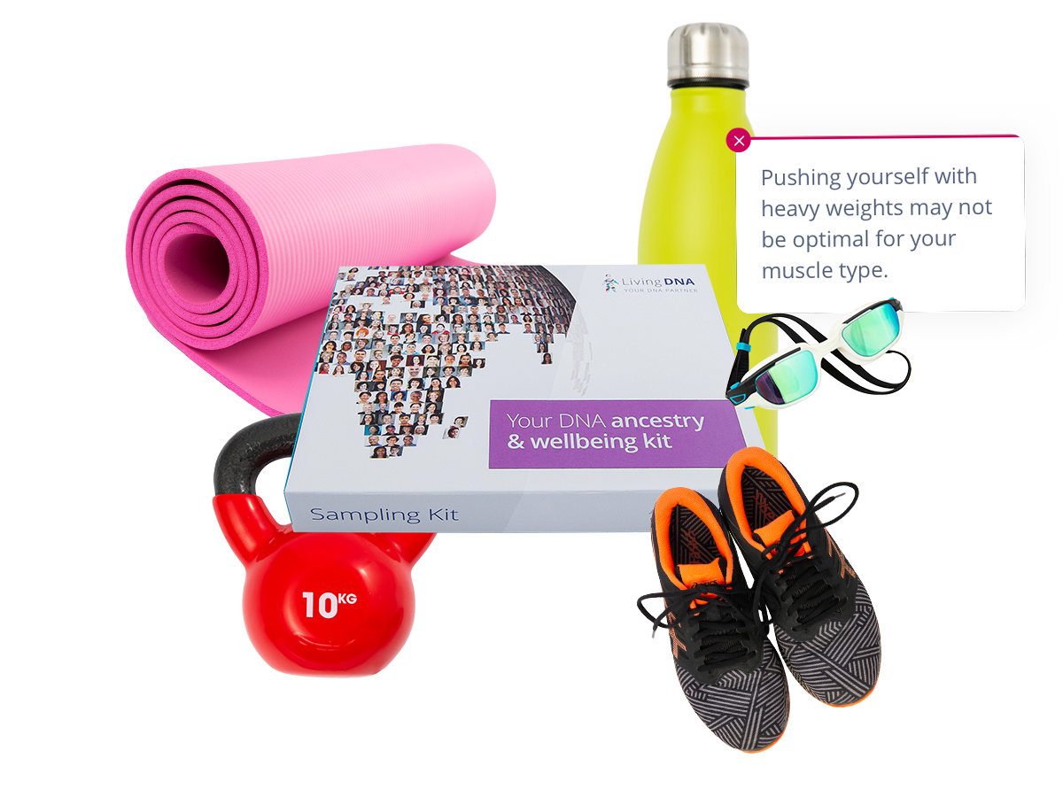 Living DNA | Wellbeing and ancestry Kit