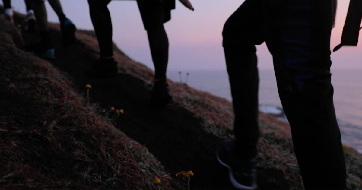 Living DNA | DNA Kits | Bring your DNA to Life