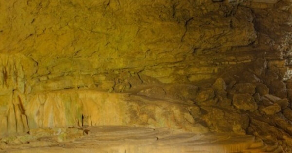Scientists discover ancient DNA in the soil of caves | Living DNA